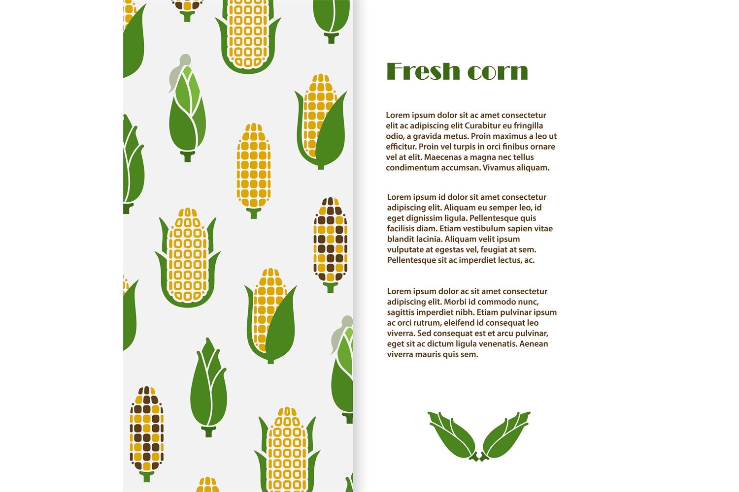 Fresh corn banner template design. Vector harvest flyer (910879 ...