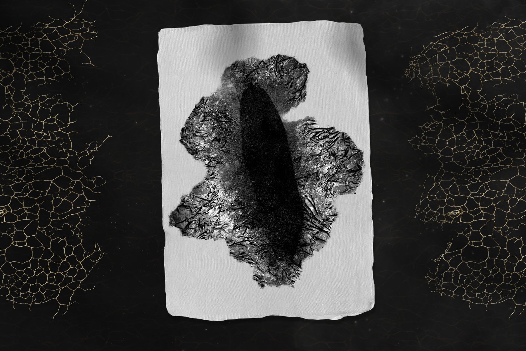 Ora - Ink&nature (648380) | Textures | Design Bundles