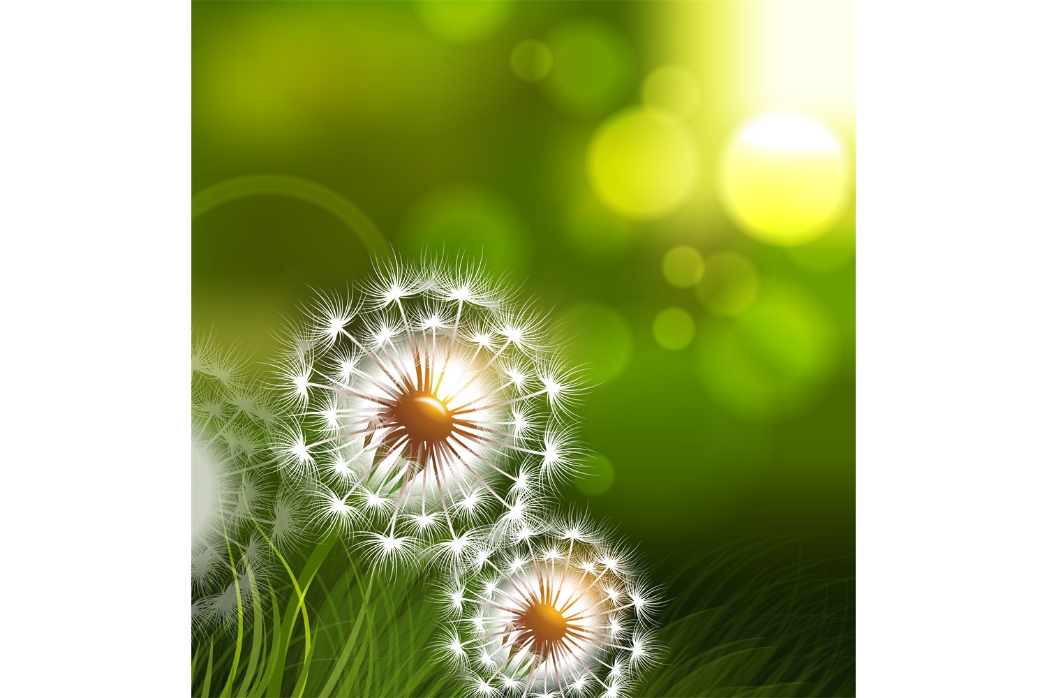 Dandelion field vector spring conceptual background (862693 ...