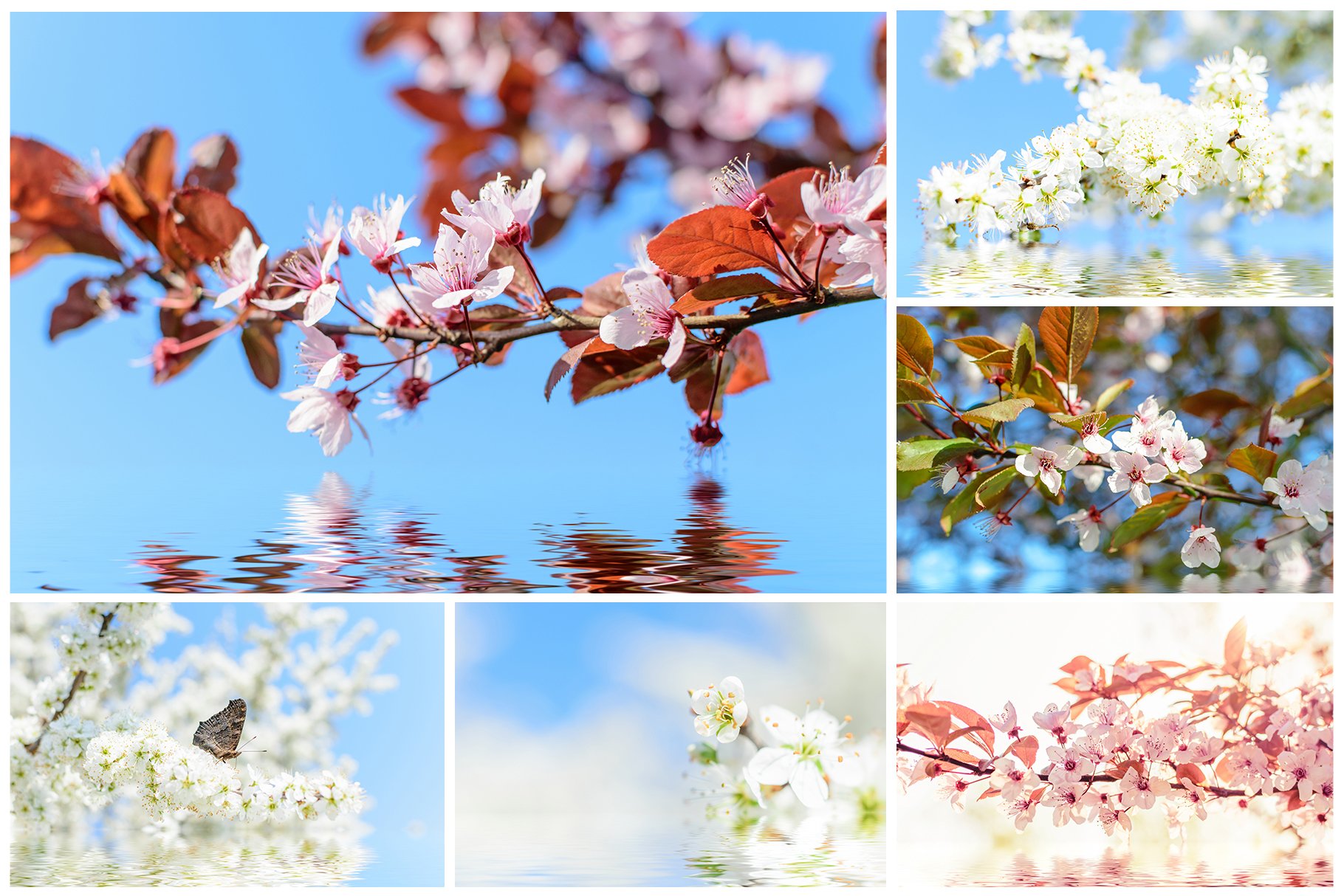 Spring Flowers and Paintings Bundle (53431) | Nature | Design Bundles