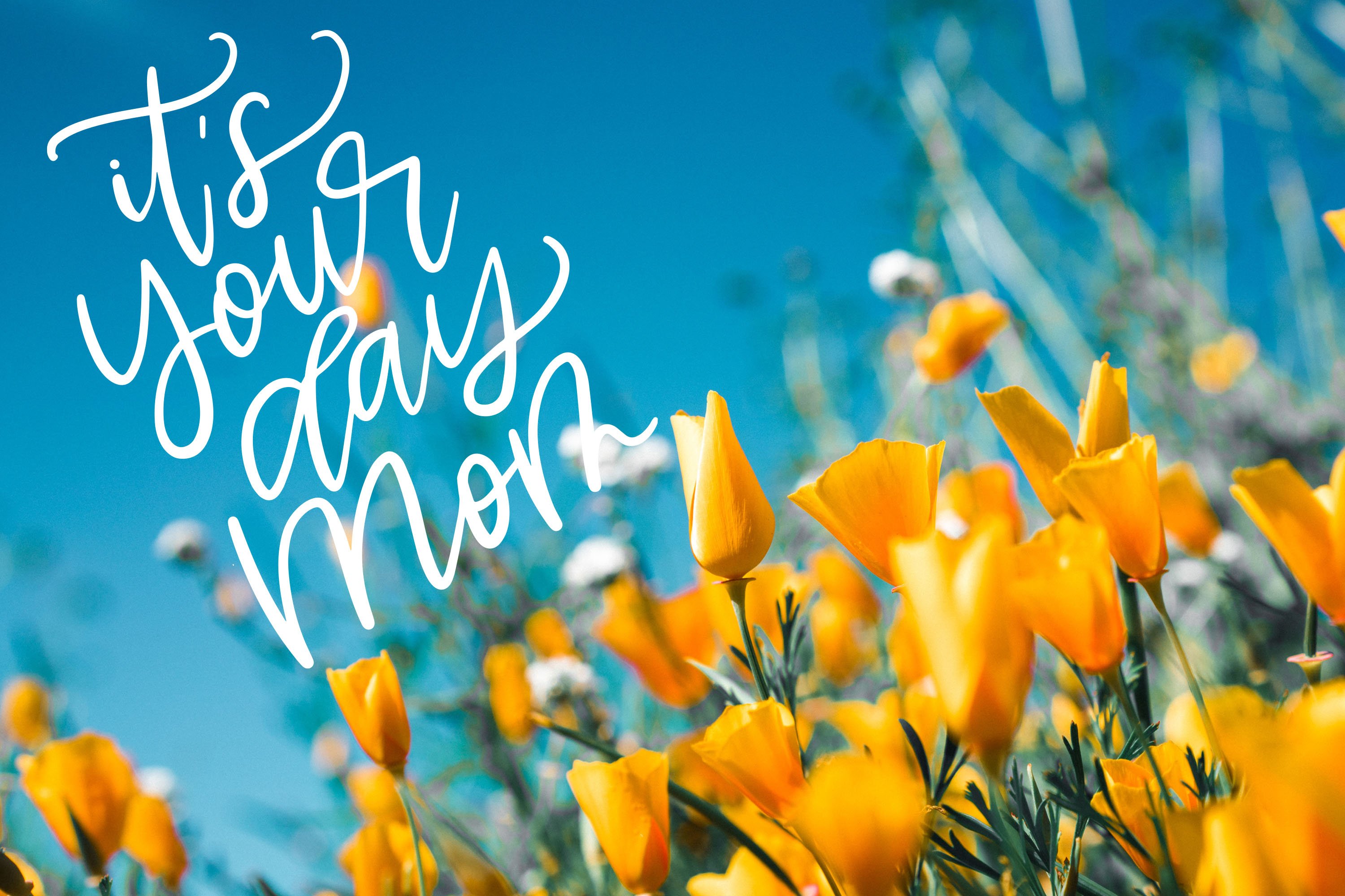 Mothers Day Photo Overlay (565481) | Illustrations | Design Bundles