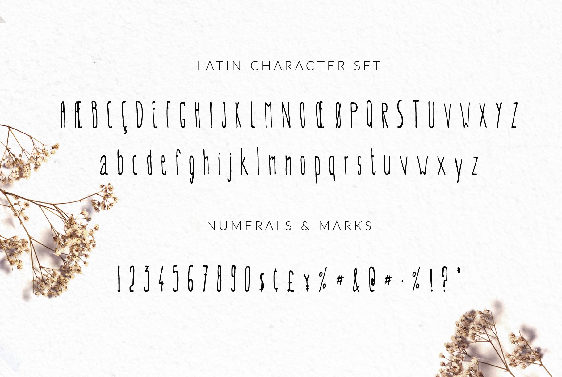 EVEY Handcrafted Multilingual Font (41470) | Handwritten | Font Bundles