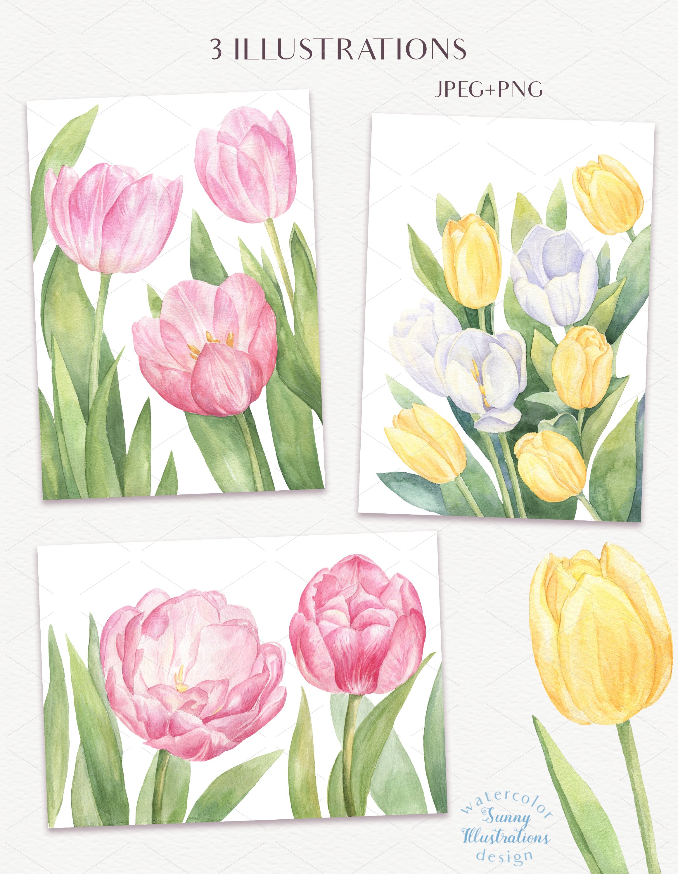 Watercolor Tulips (257119) | Illustrations | Design Bundles
