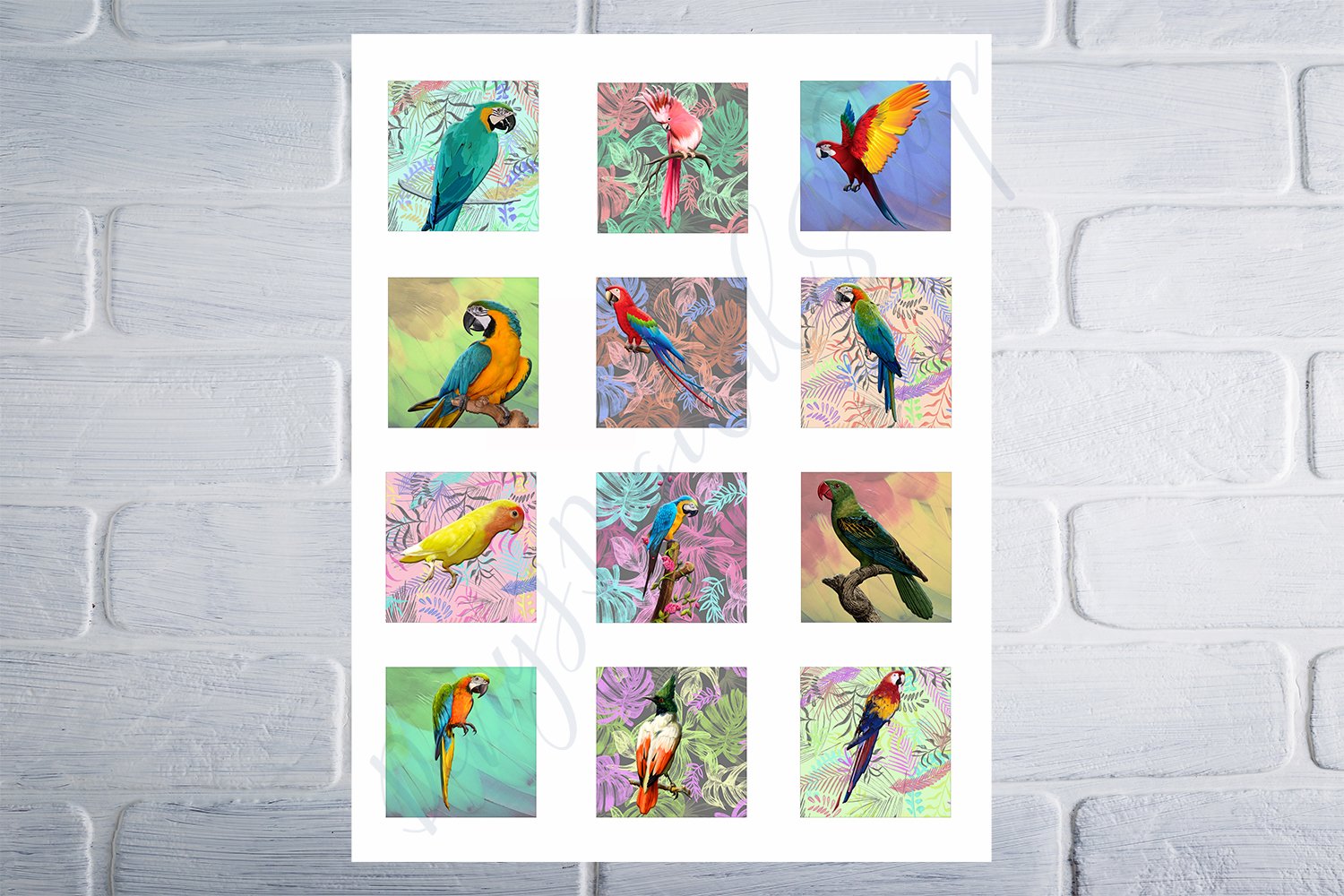 Tropical Parrots,Birds,Collage Sheet,2x2,1.5x1.5,1x1inch (160624 ...