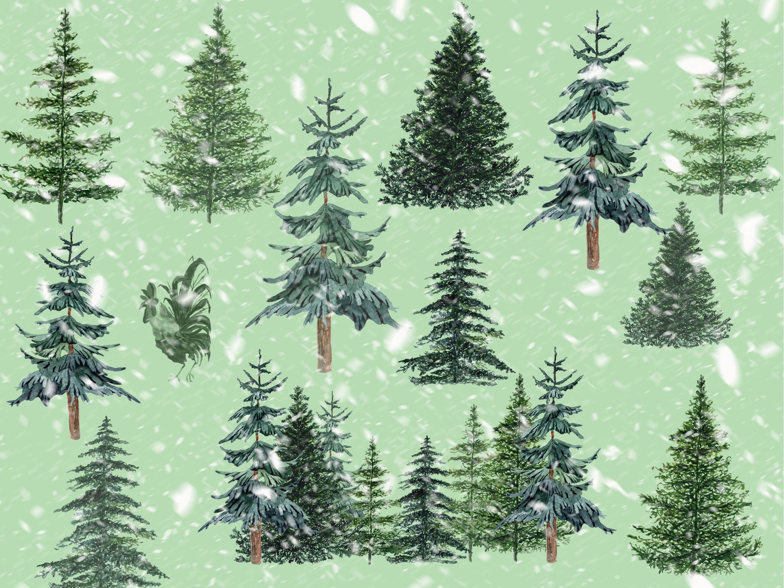 Conifers trees clipart (42326) | Illustrations | Design Bundles