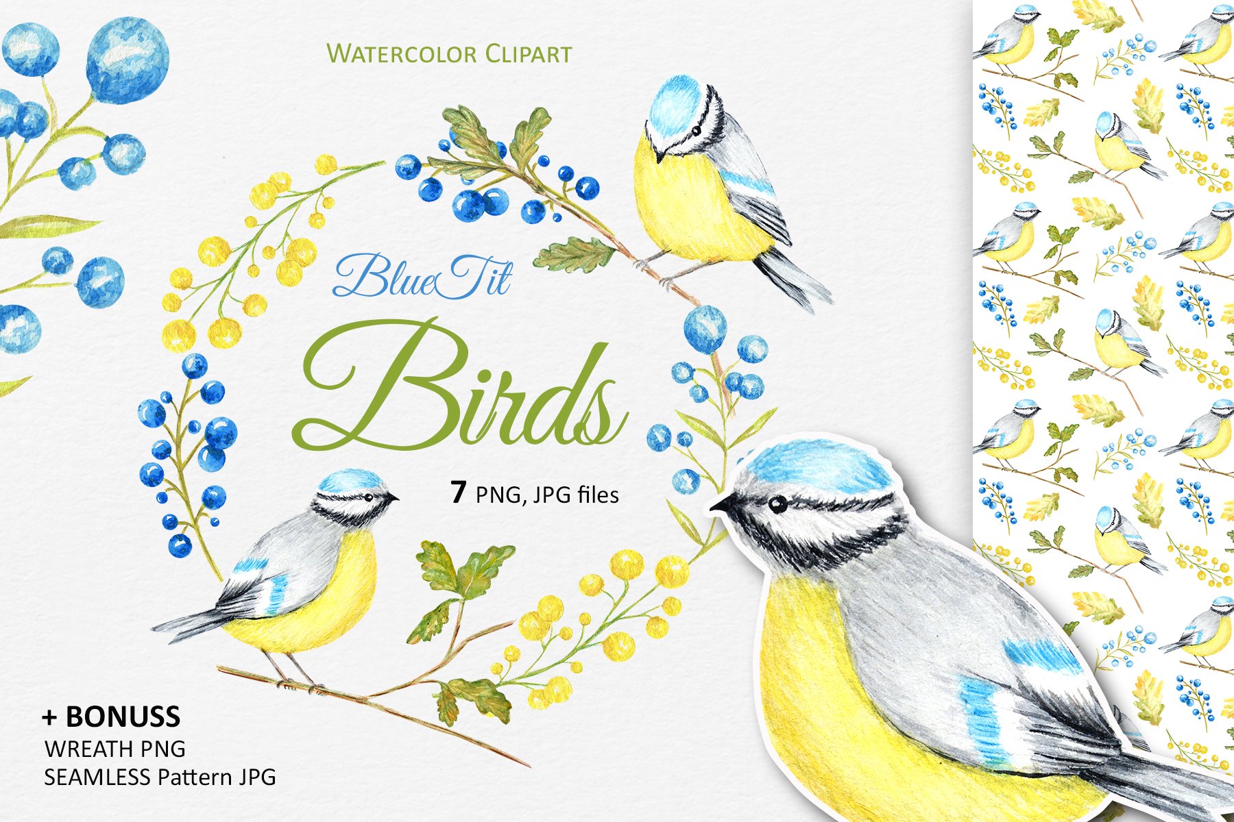 Bluetit Clipart People