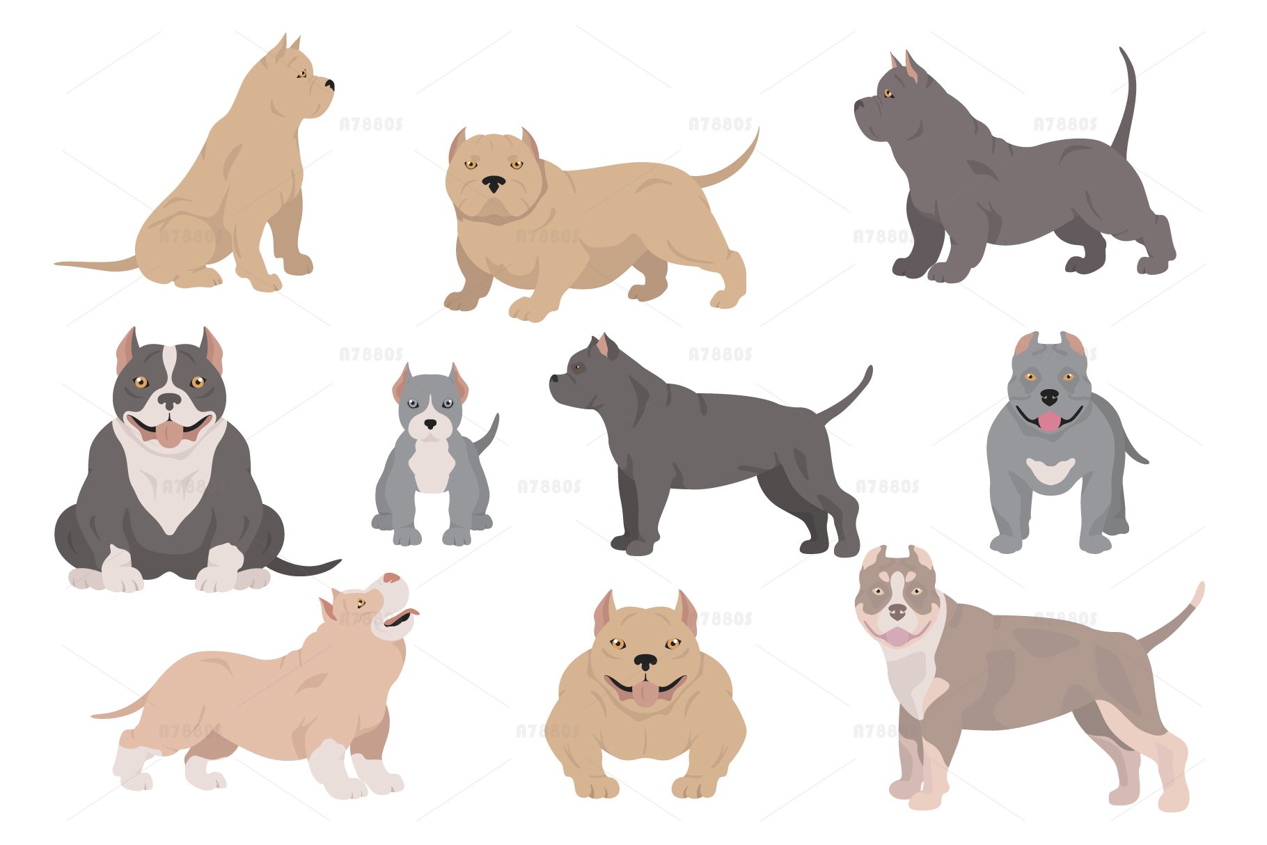 American bully clipart (1099036) | Illustrations | Design Bundles
