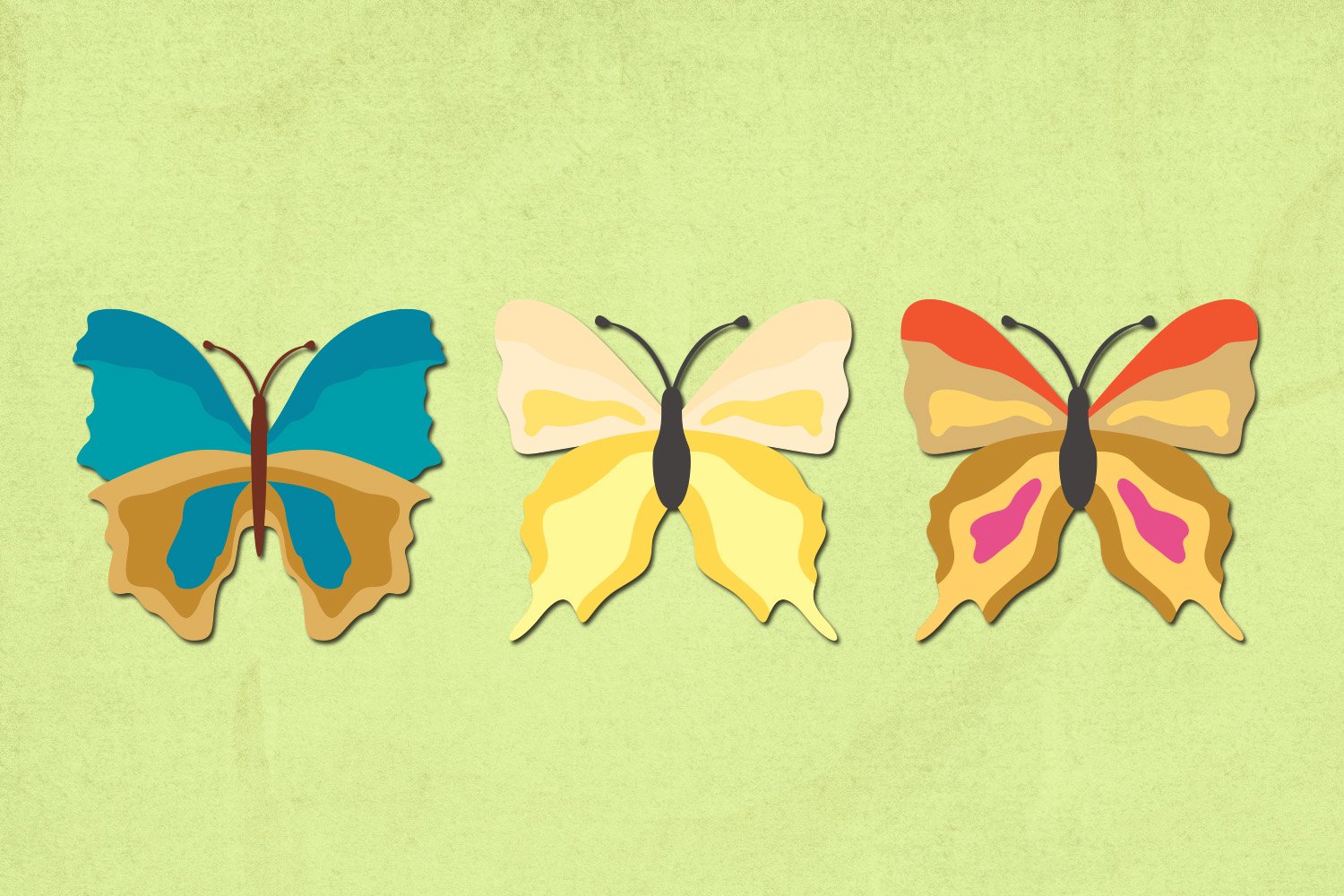 Spring butterfly illustrations clip art