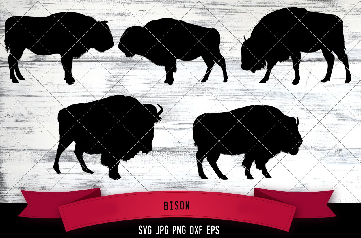 Bison Cut file Svg (655709) | Cut Files | Design Bundles