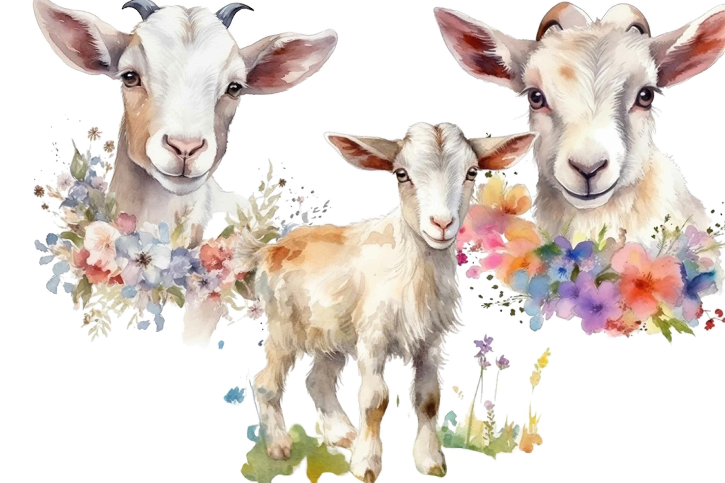 Baby Goat Clipart
