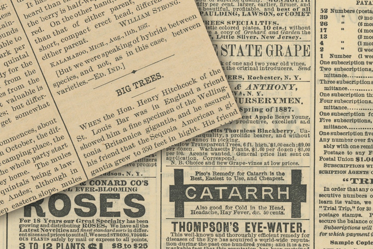 Vintage Newsprint Textures (290319) | Patterns | Design Bundles
