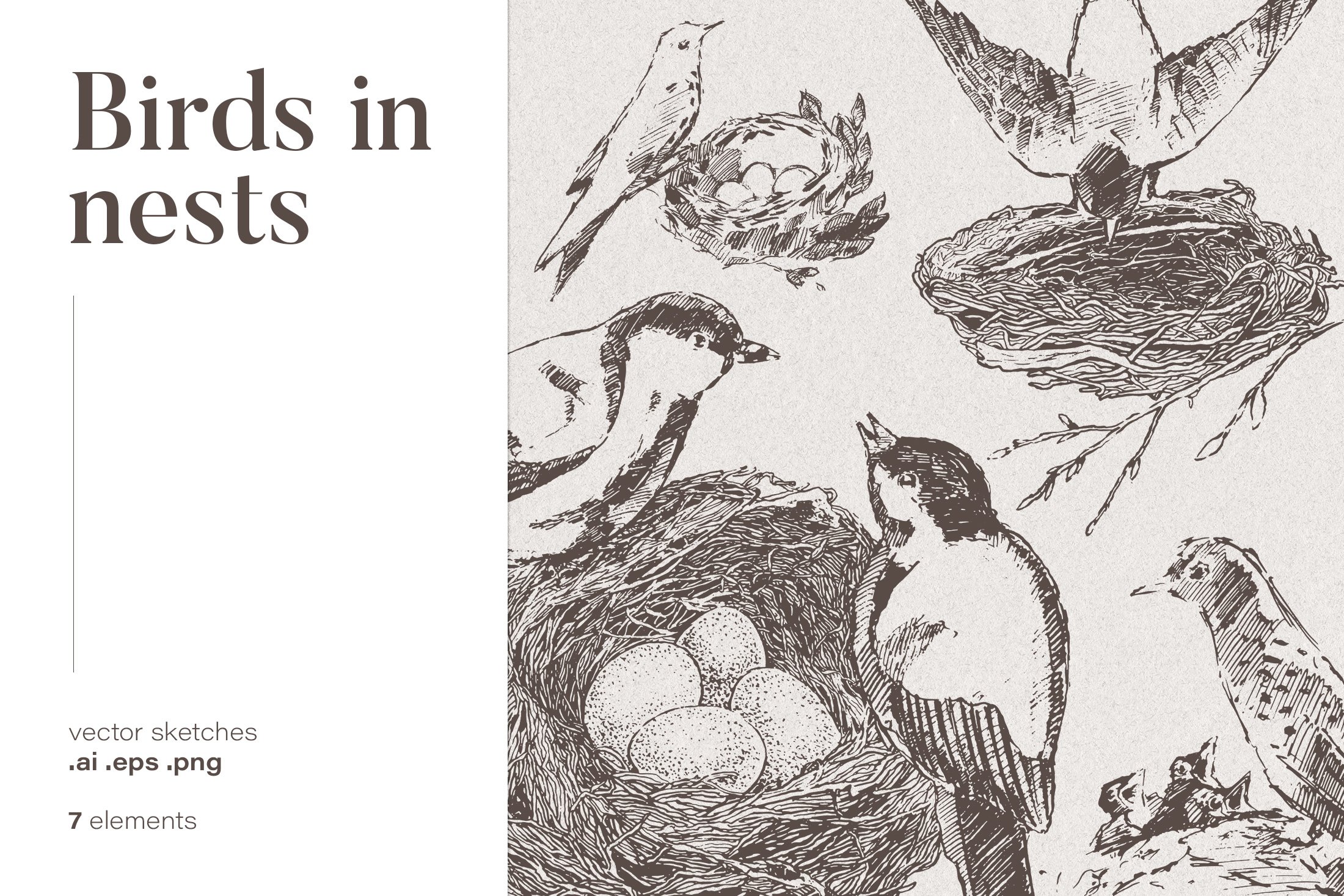 Collection of birds drawings (875834) | Illustrations | Design Bundles