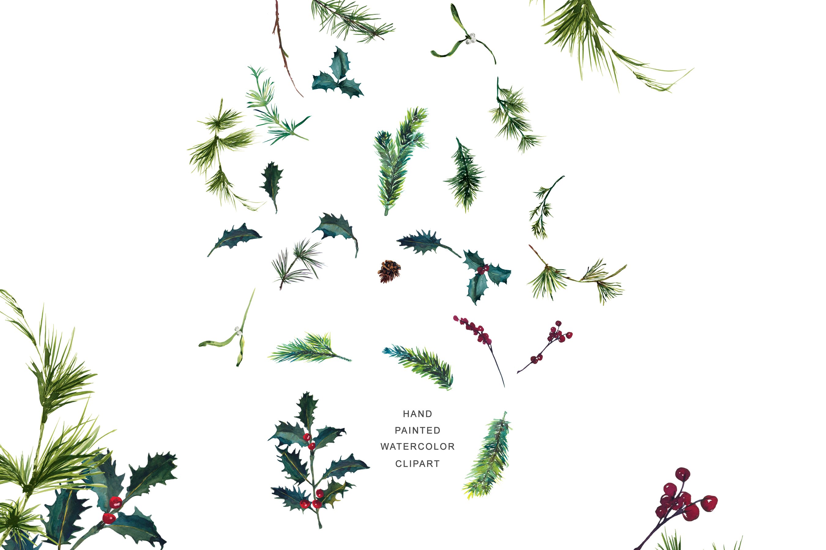 Watercolor Christmas Evergreen Clipart (160320) | Illustrations ...