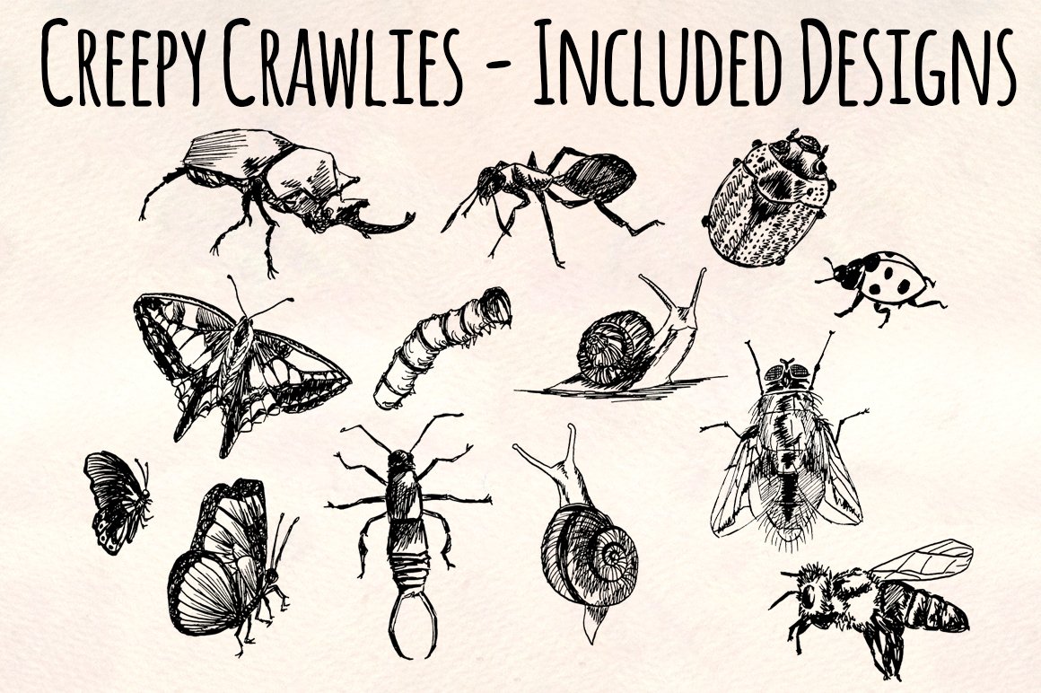 Creepy Crawly Bugs Vector Sketchbook Graphics (157578) | Illustrations ...