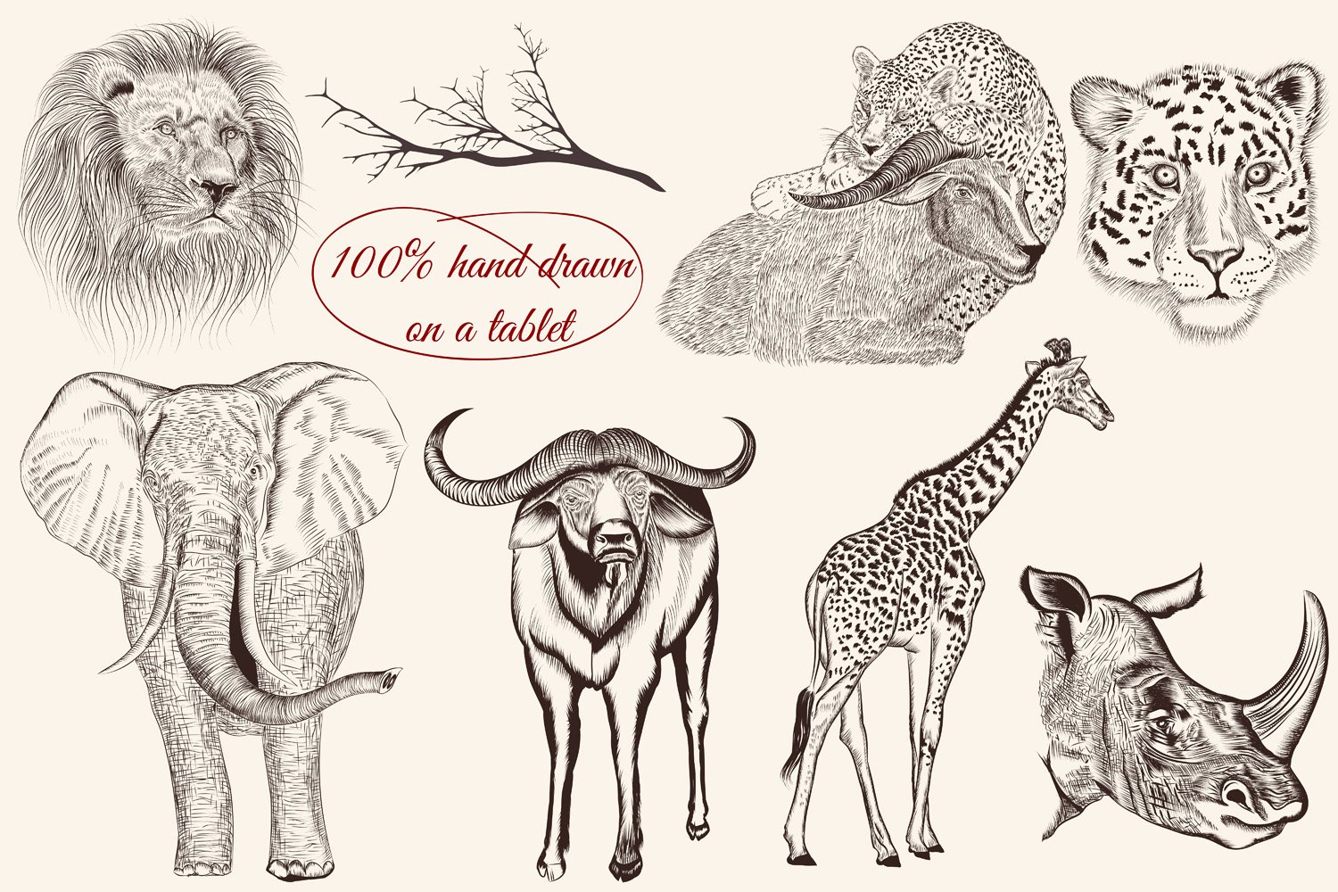 Bundle from vector engraved animals (96965) | Illustrations | Design ...