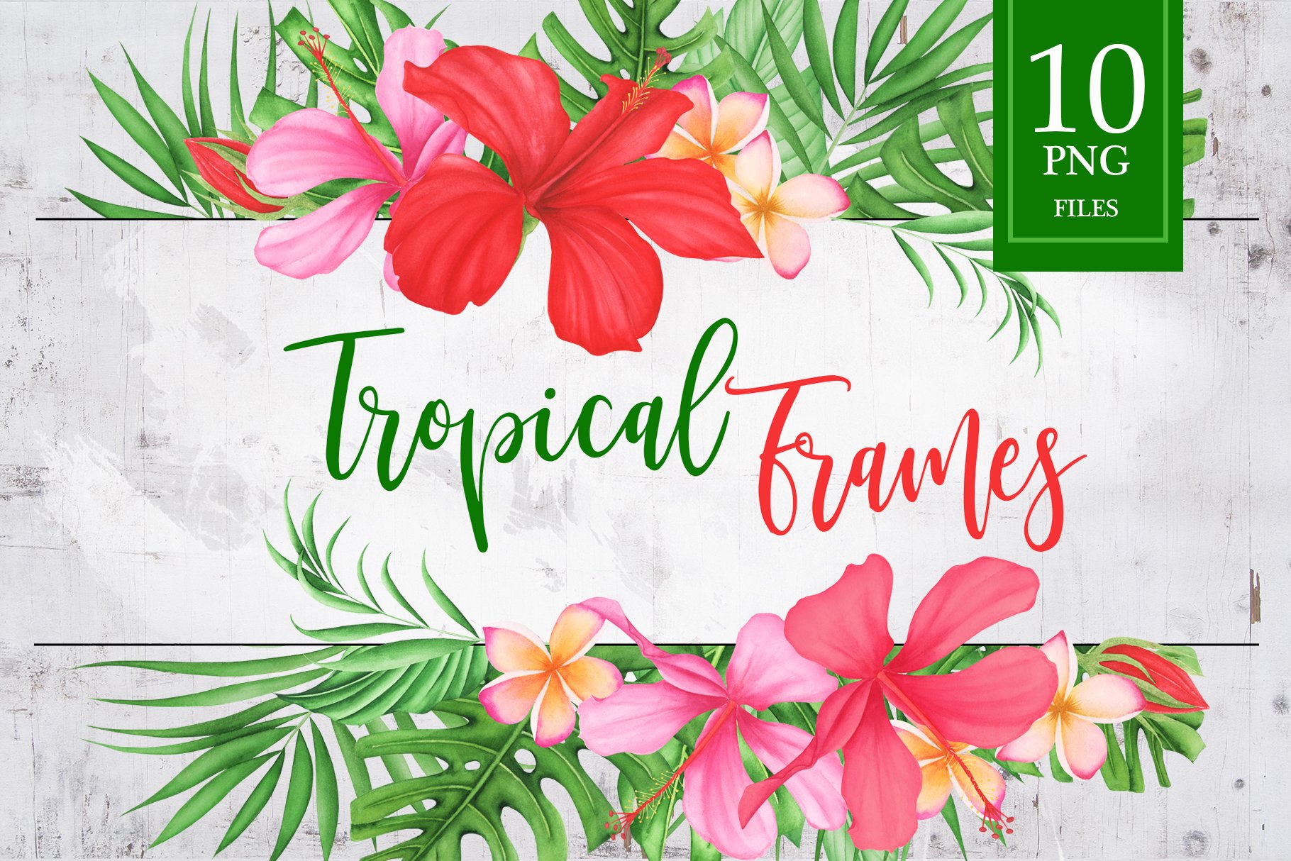 Tropical Flowers Clip Art
