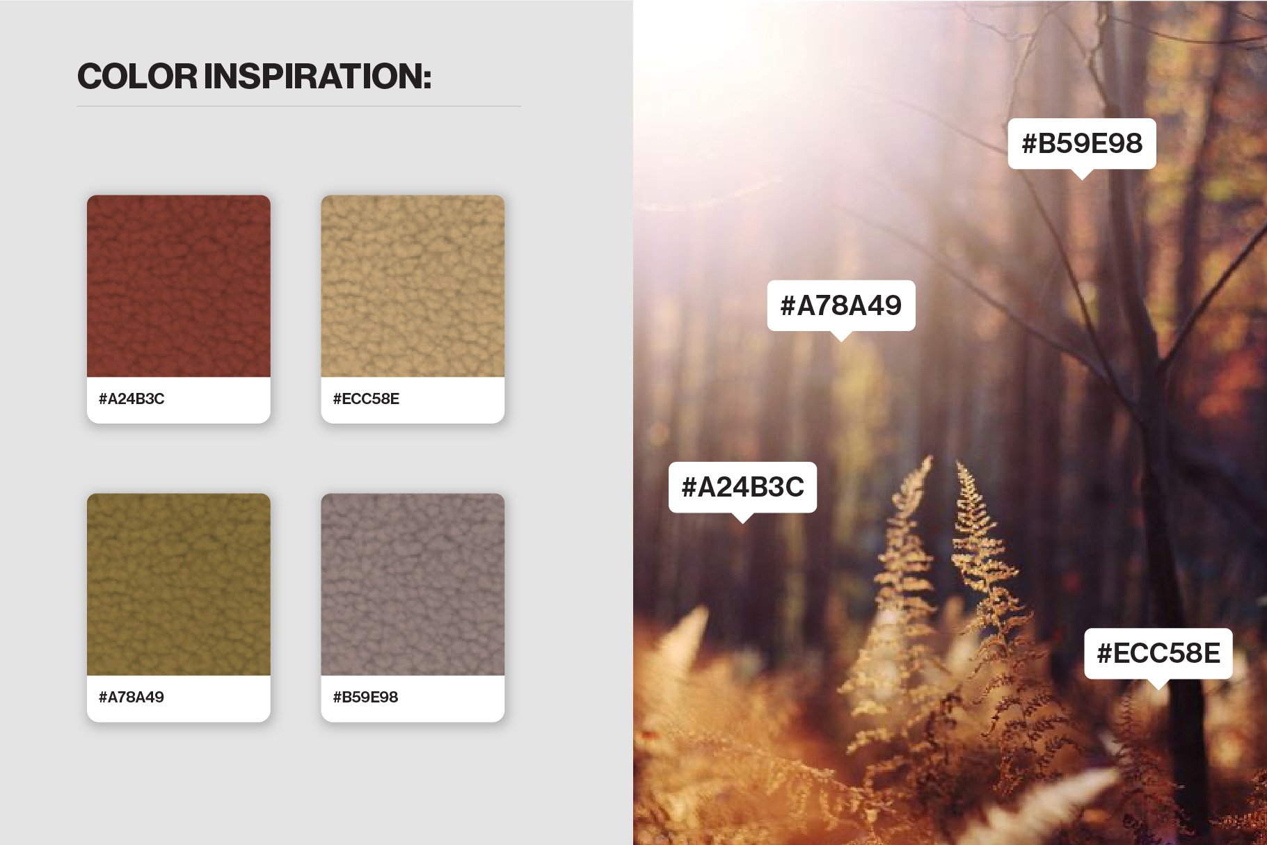 Sherpa Pattern Texture (652973) | Patterns | Design Bundles