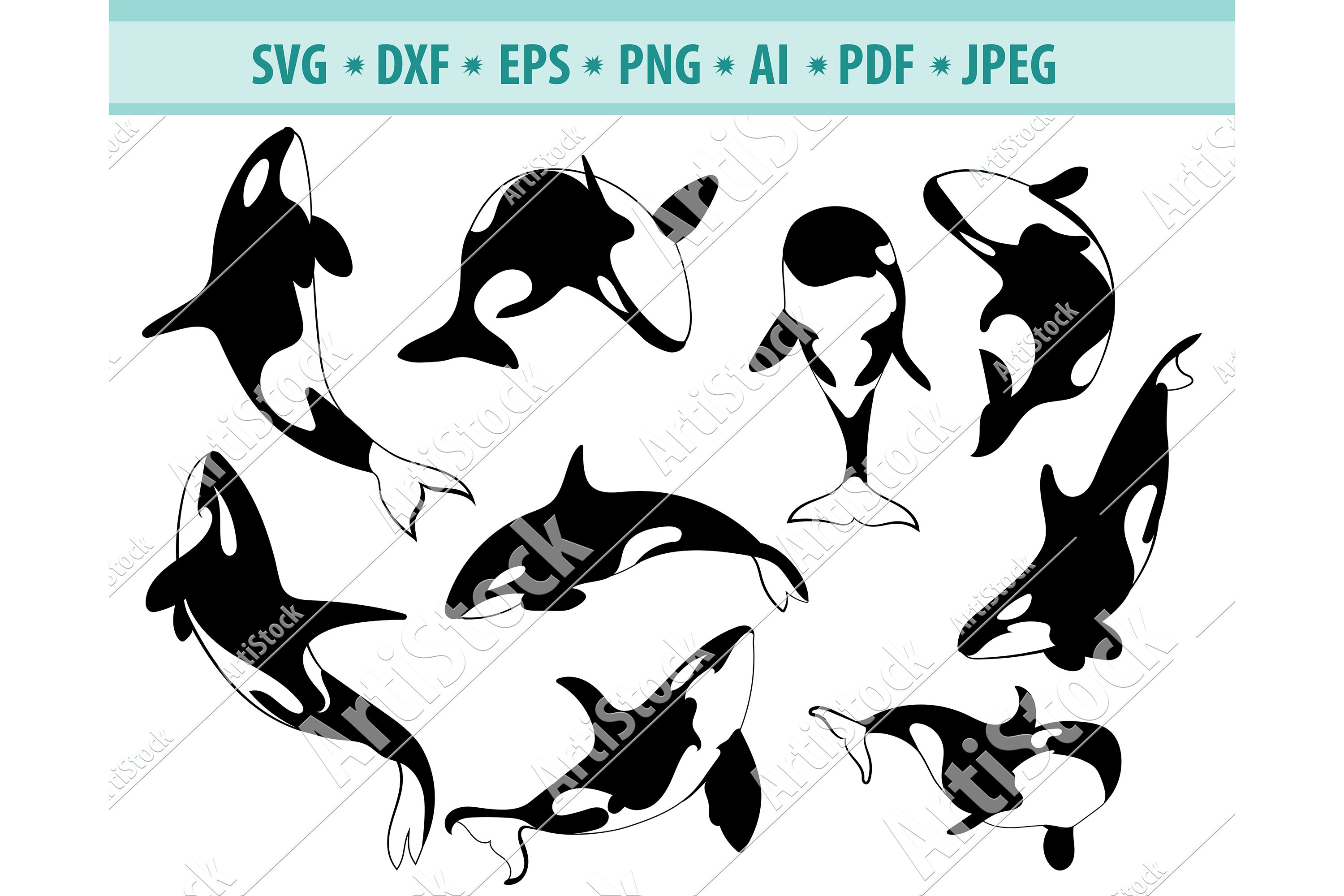 Orca SVG, Killer Whale PNG, Killer Whale Clipart, Dxf, Eps (429530 ...
