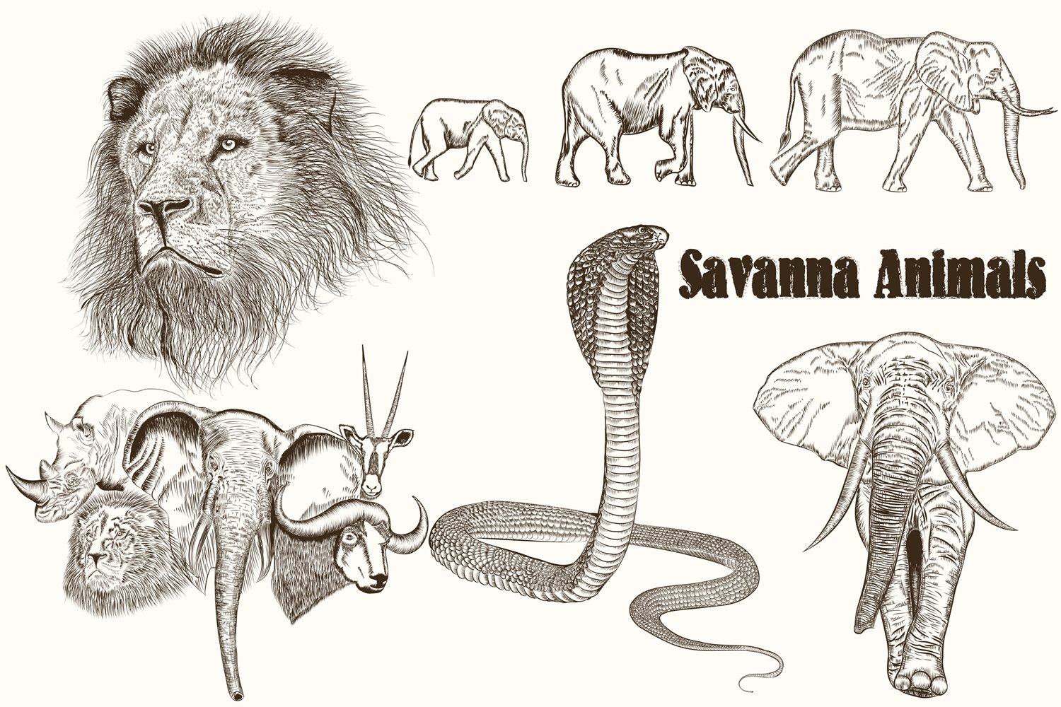 Collection of savanna animals (101911) | Illustrations | Design Bundles