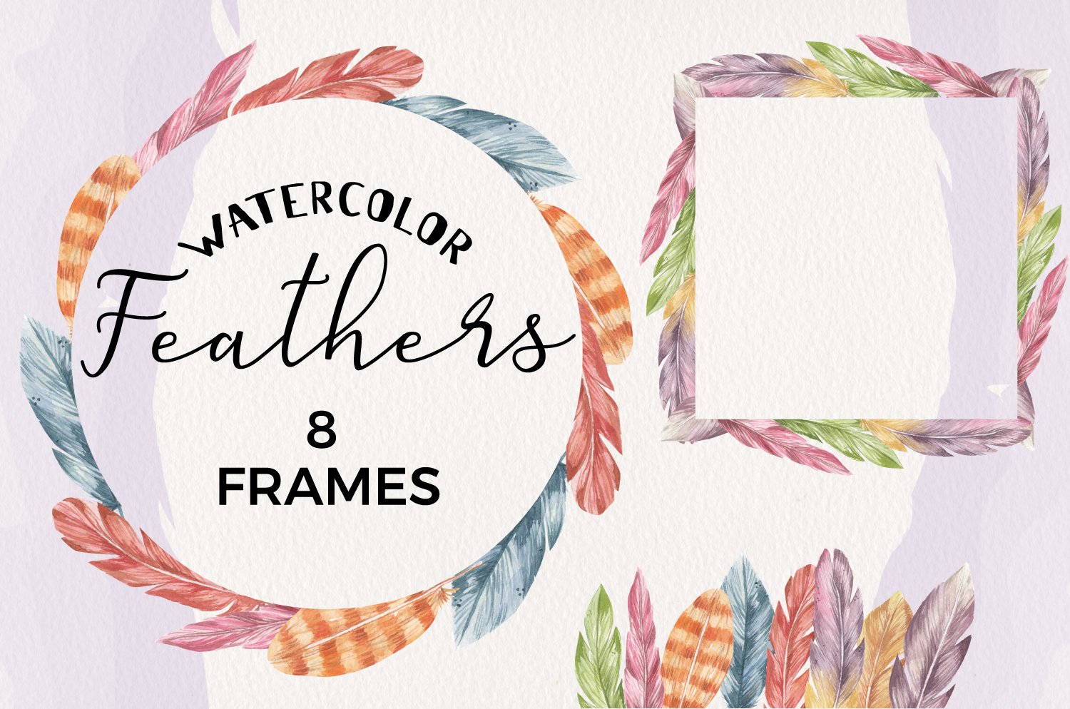 Feathers 8 Frames Watercolors Birds Hand Painted Detailed