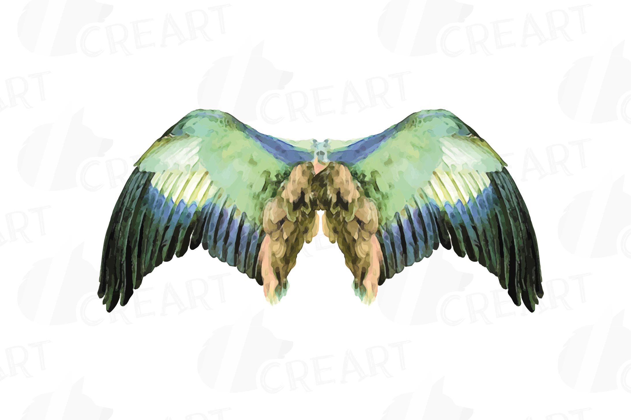 Watercolor wings clip art collection, colorful bird wings (209686 ...