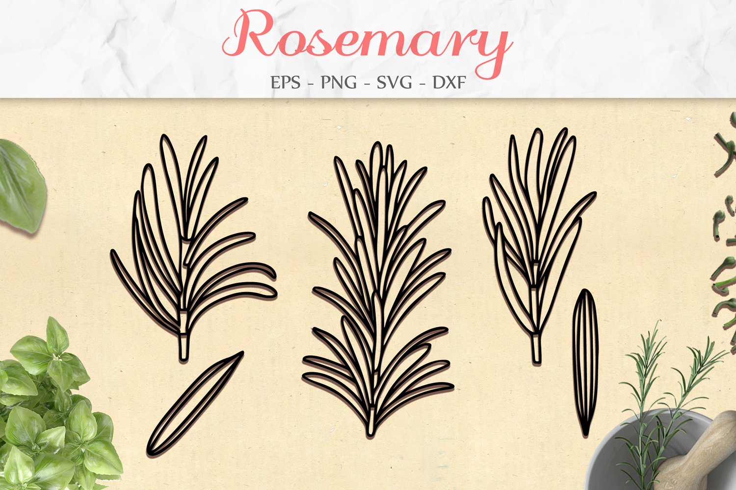 Rosemary Set svg png dxf eps - Rosemary Herb Paper Cut (362232) | SVGs ...