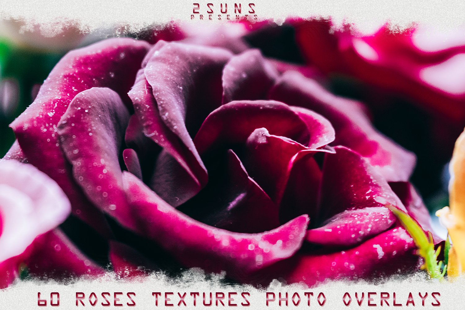 Download photo overlays red rose petals printable textures (297628 ...