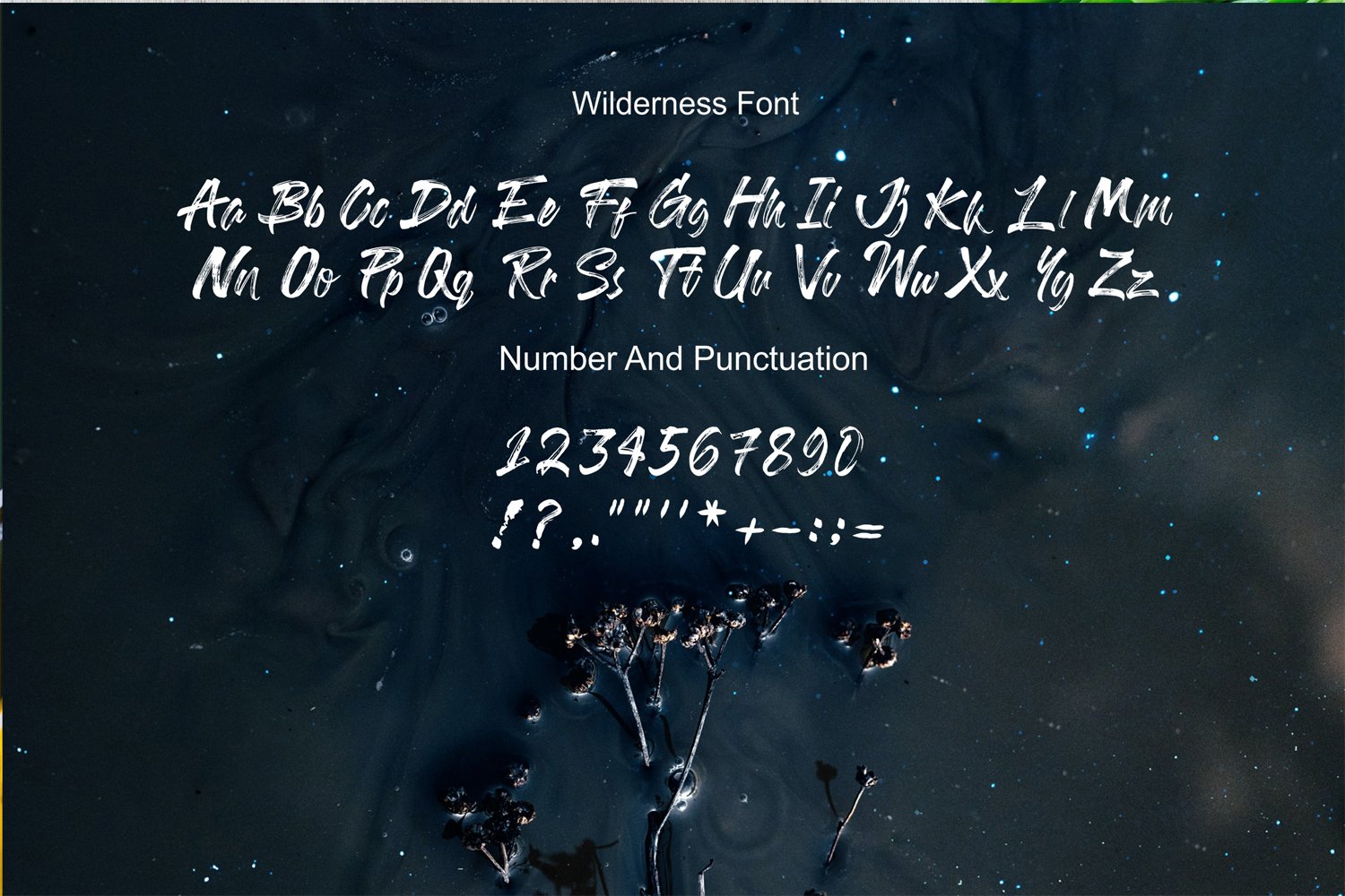 Wilderness (578234) | Brush | Font Bundles