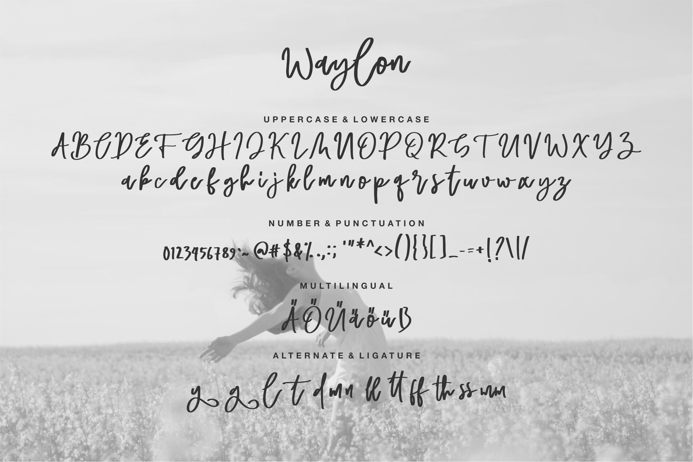 Waylon - Beauty Script Font
