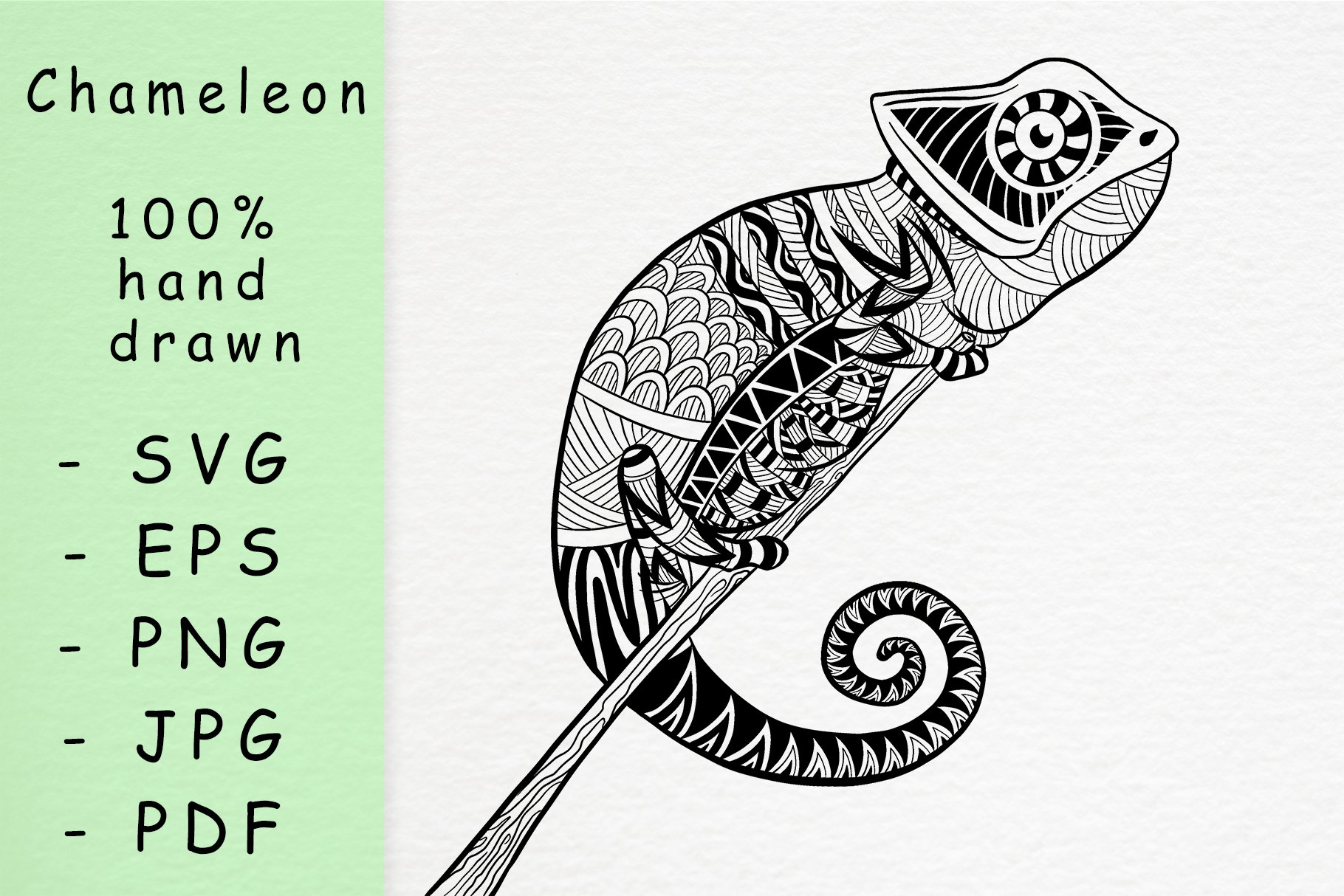 Hand drawn chameleon with patterns
