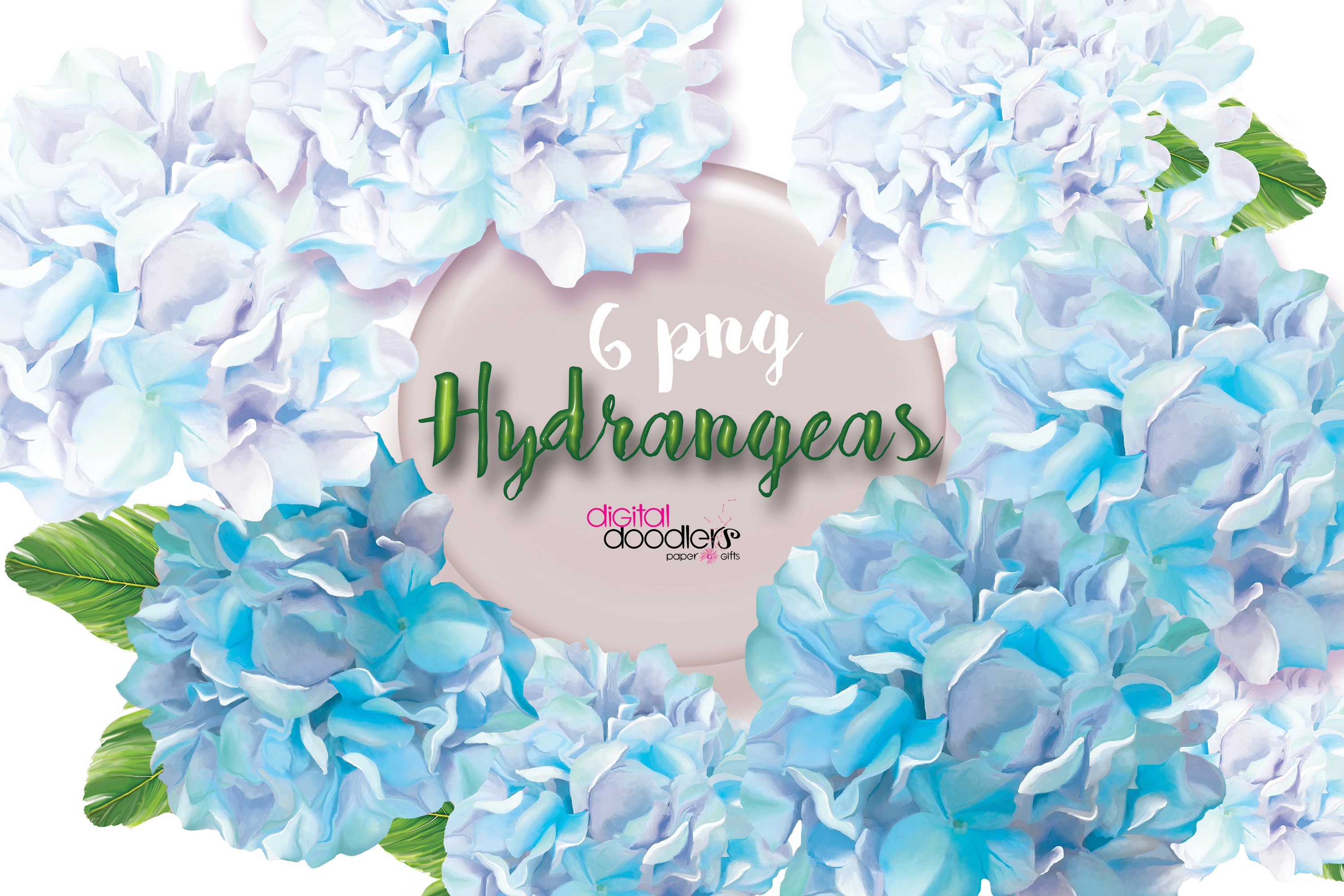 Blue Hydrangeas (65329) | Illustrations | Design Bundles