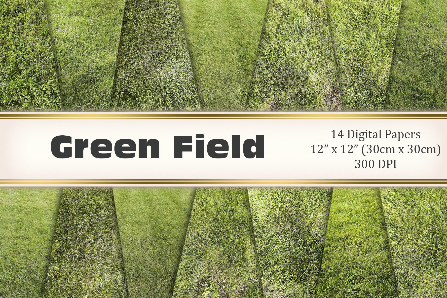 Green Field (1085778) | Textures | Design Bundles