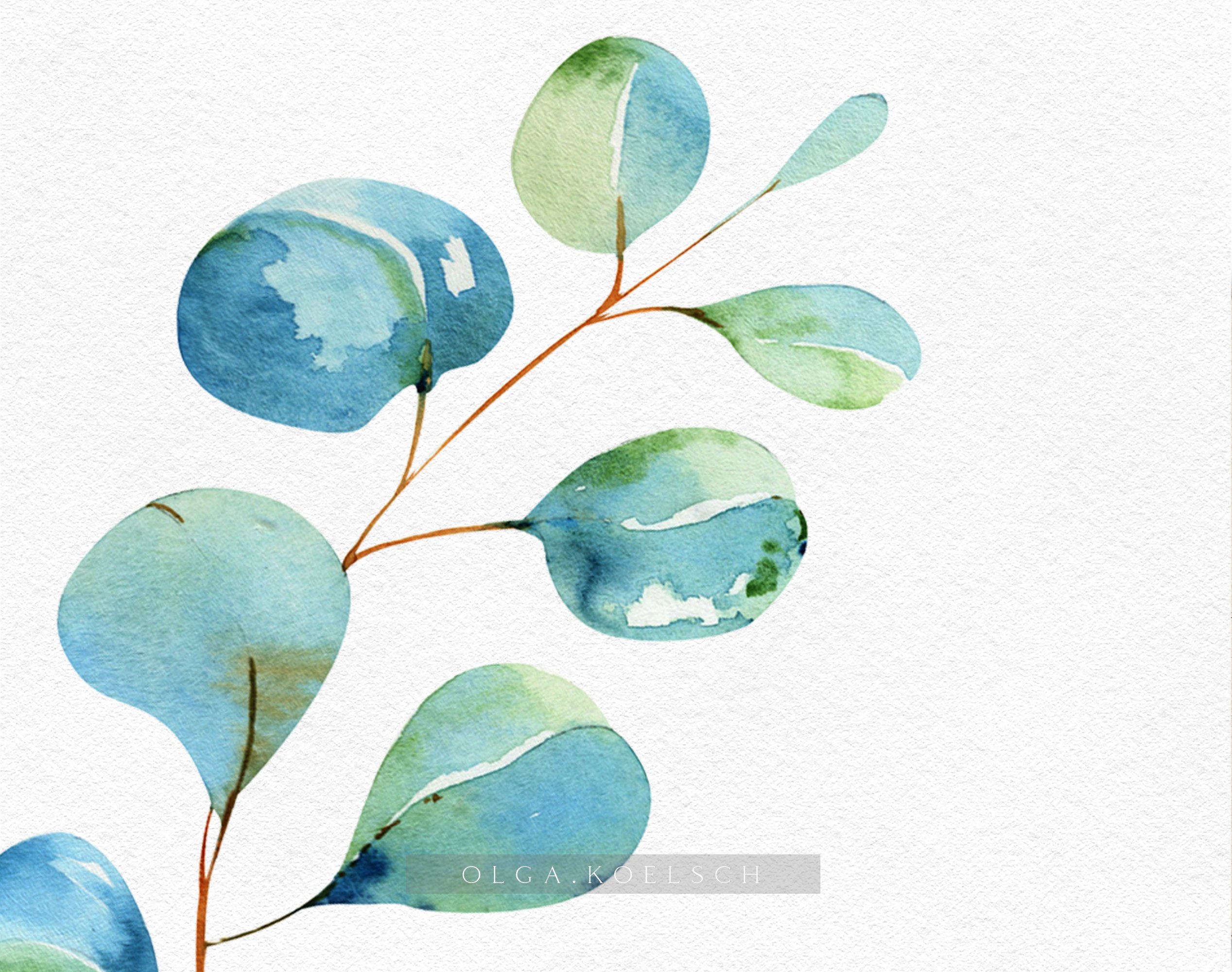 Watercolor eucalyptus borders clipart, Greenery digital (1058546 ...