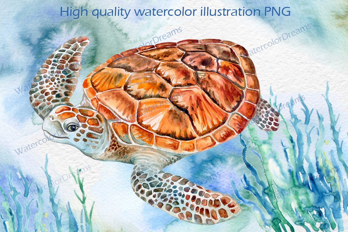 Sea turtle. Under the sea watercolor clipart (888269) | Elements ...