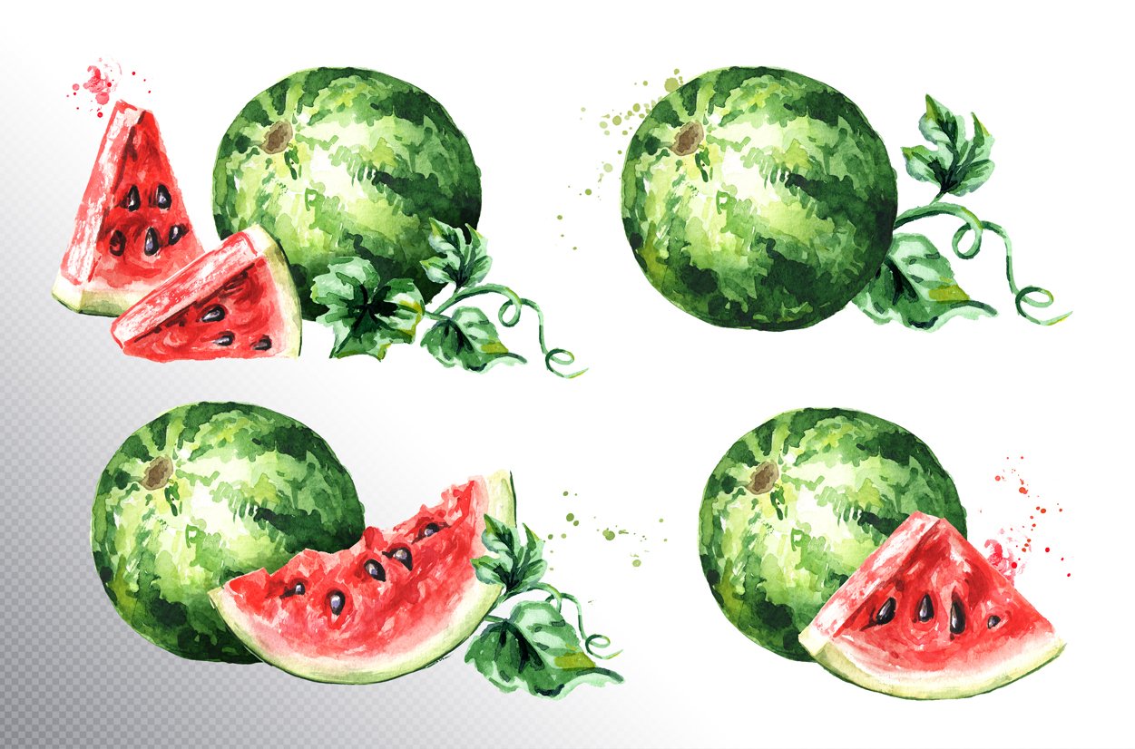 Watermelon. Watercolor collection (214524) | Illustrations | Design Bundles