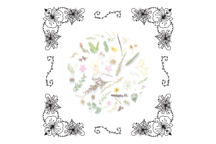 10 Doodle Hand Drawn Flower Frame