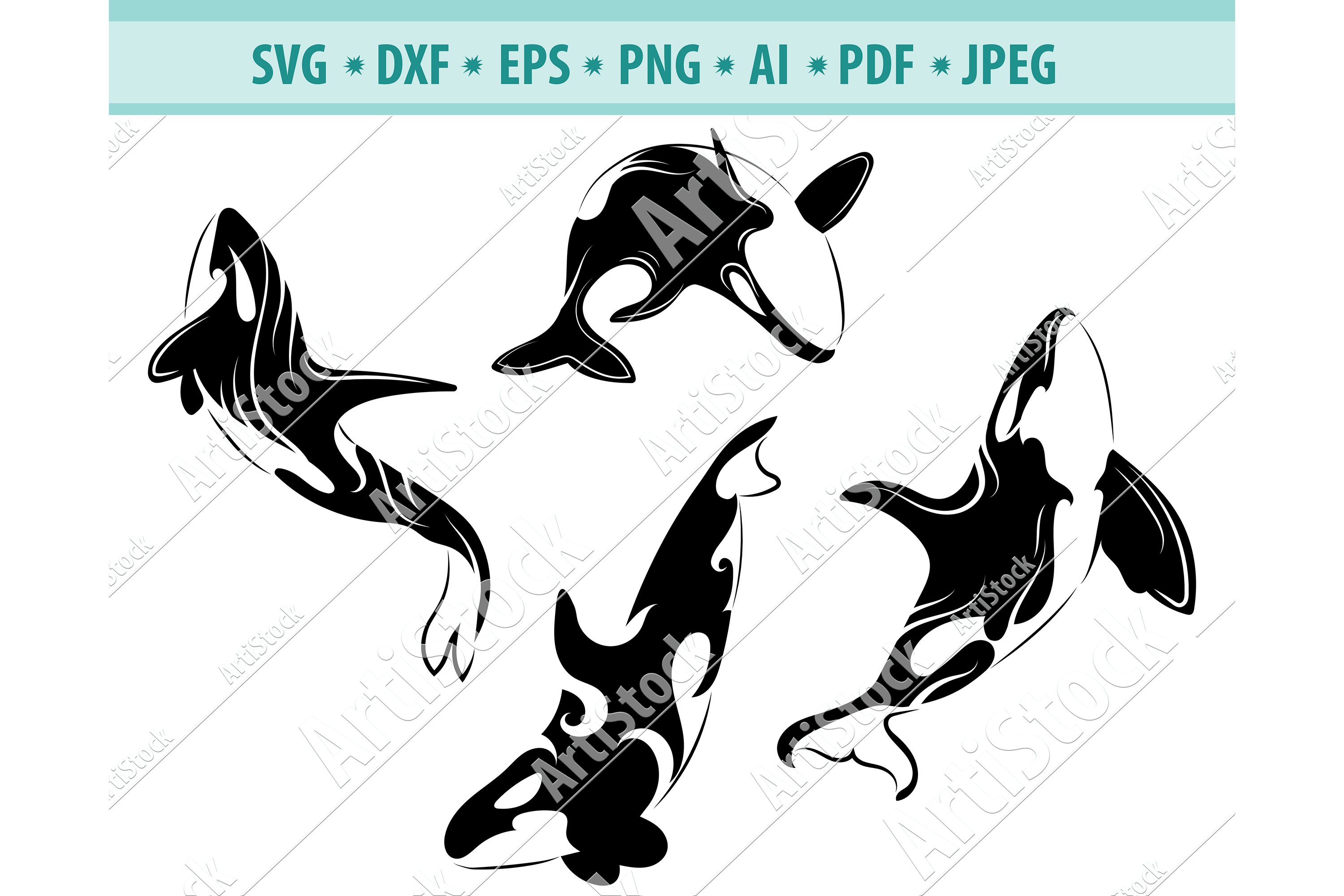 Orca SVG, Killer Whale PNG, Killer Whale Clipart, Dxf, Eps (429529 ...