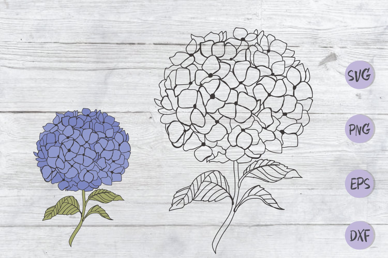 Hydrangea svg flowers / Garden flower svg cricut (751171) | Cut Files ...