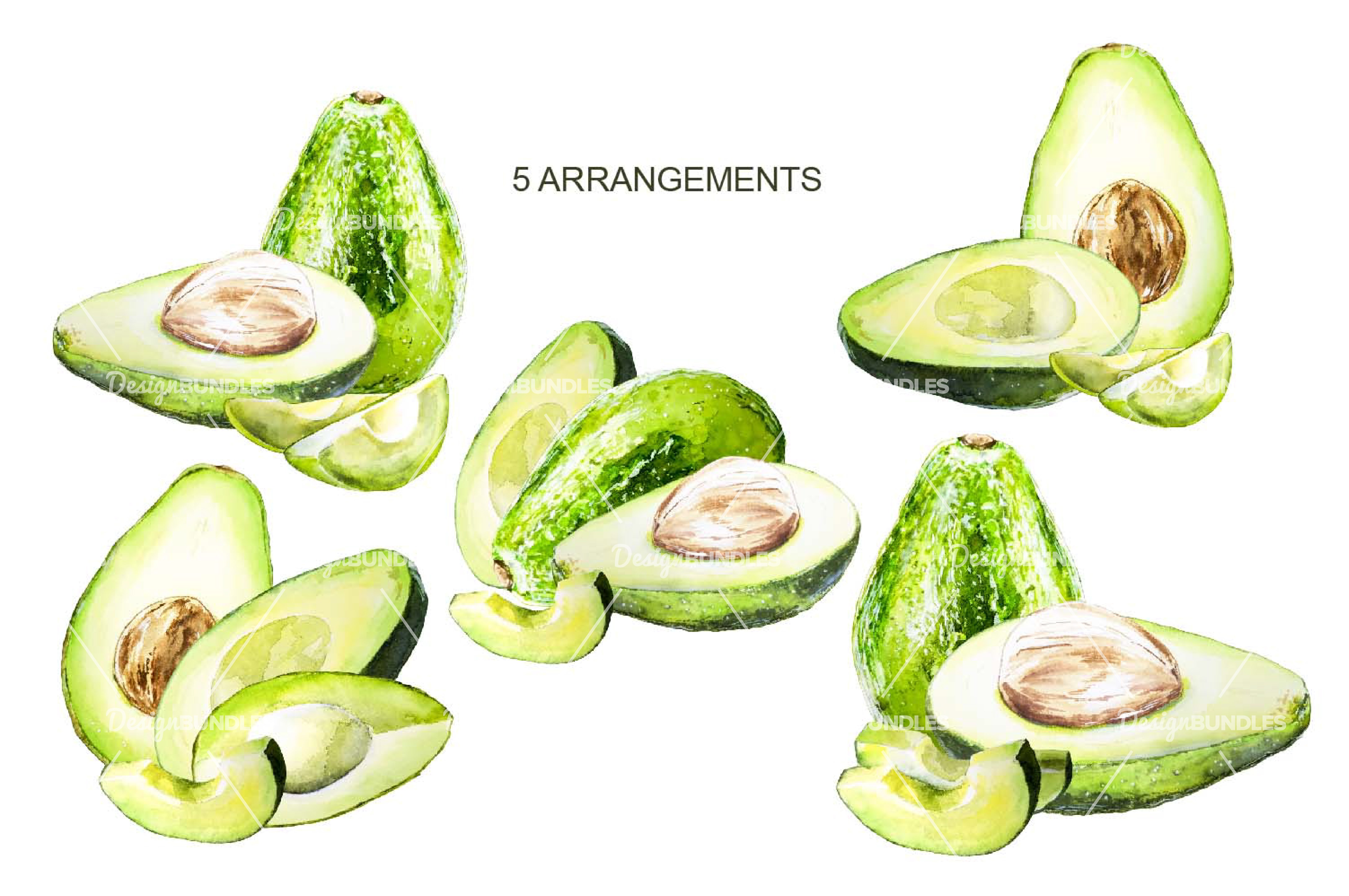 Go Avocado Design Set (85890) | Illustrations | Design Bundles