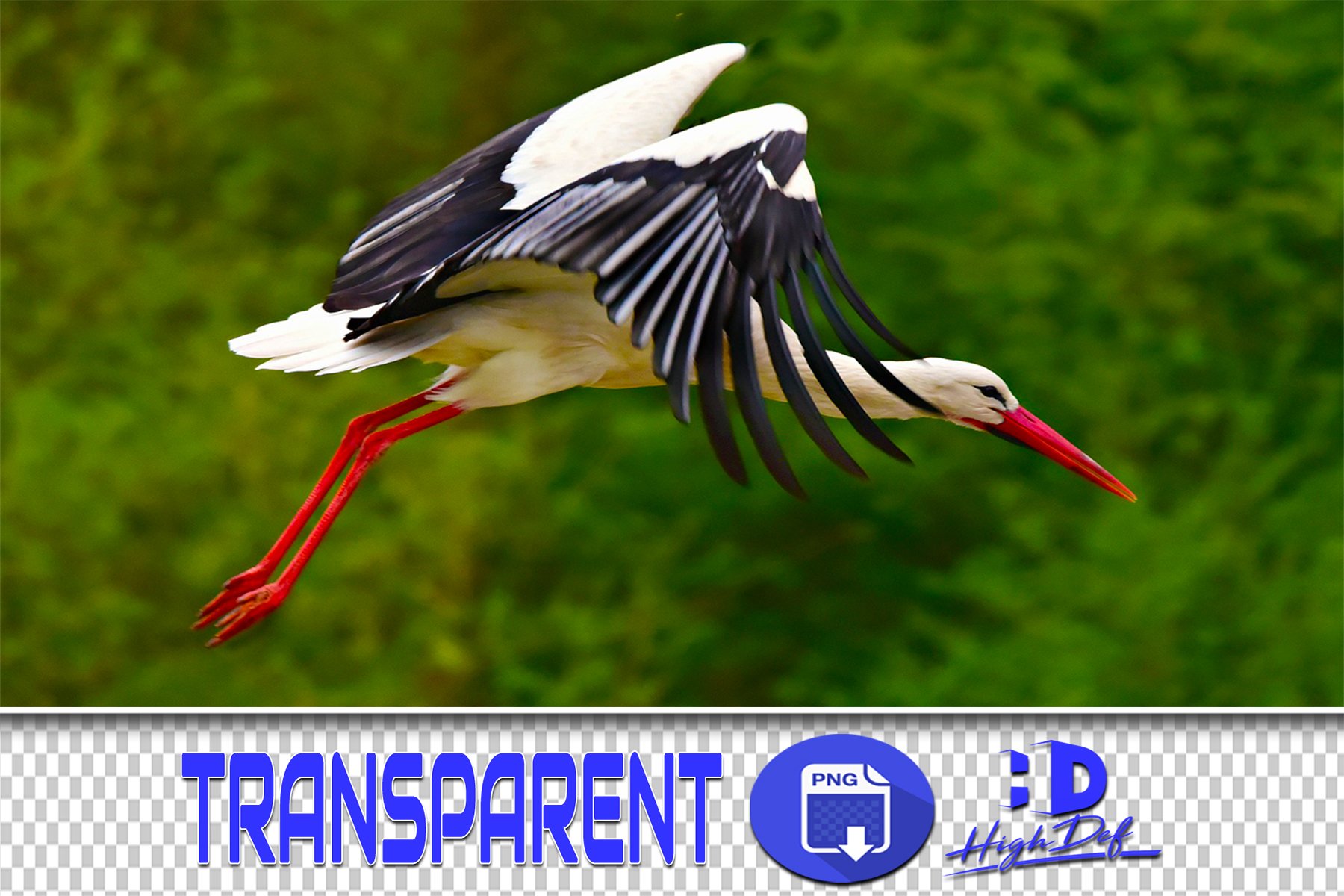 50 STORKS TRANSPARENT PNG FILES, ANIMALS PHOTOSHOP OVERLAYS