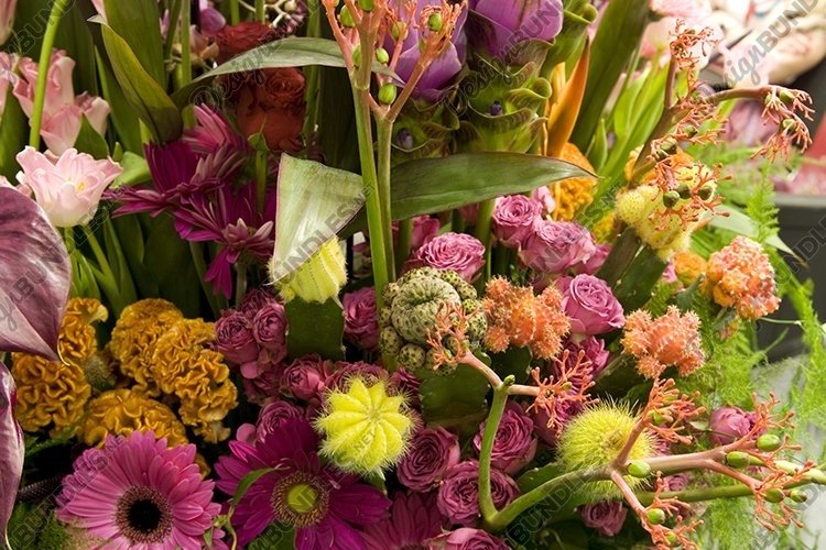 Exotic flowers (833513) | Nature | Design Bundles