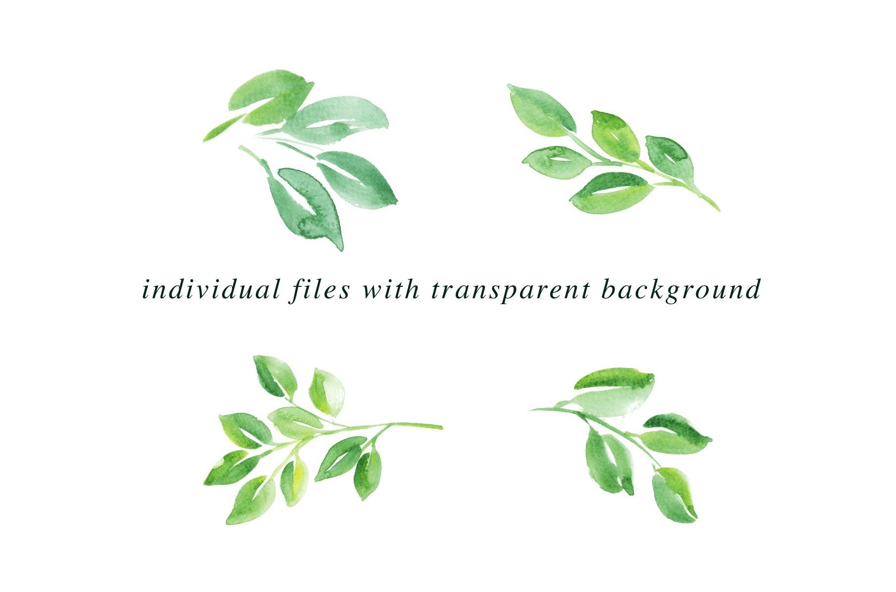 Watercolor leaves | Clipart PNG Illustrations (909004) | Illustrations ...