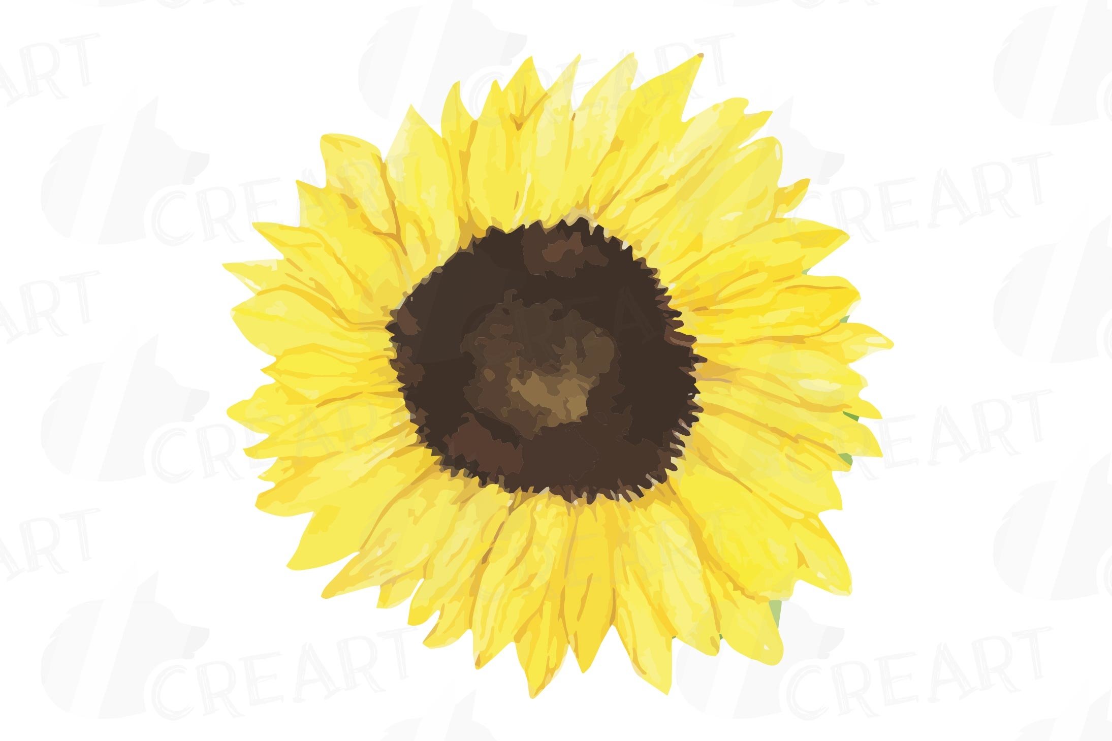 Sunflowers watercolor clip art pack 2, watercolor sunflower (162801 ...