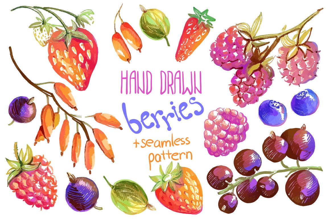 Vector hand drawn oil berries (2312) | Illustrations | Design Bundles