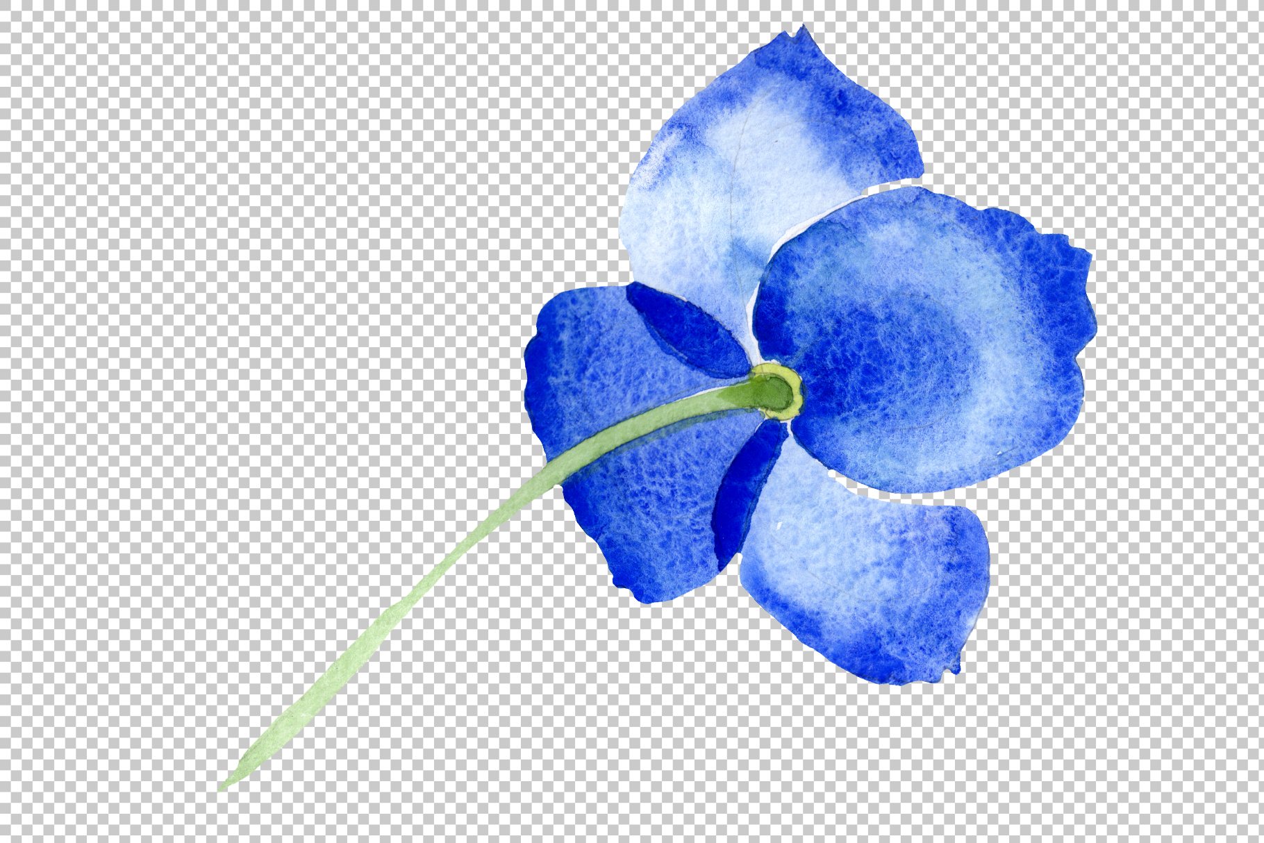 Ultramarine Poppies blue flower watercolor png (301348) | Illustrations ...