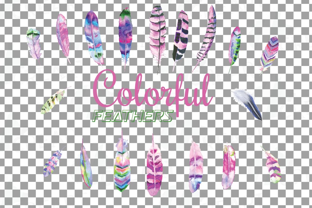Watercolor Feathers, Colorful tribal feathers clip art pack (106959 ...