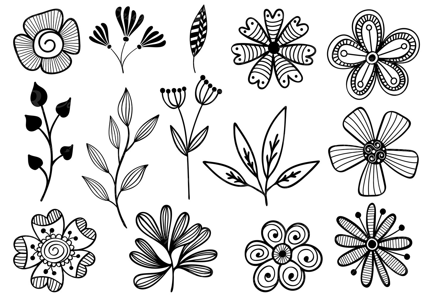 Floral doodles clipart / Botanical design elements clip art (682311 ...