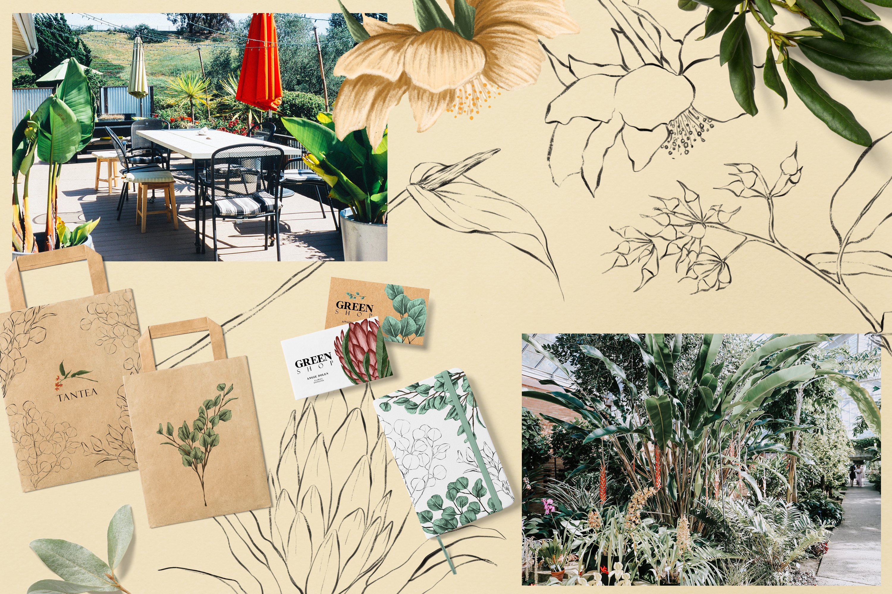 Botany clipart, Flower color and line clipart, fine art (574999 ...