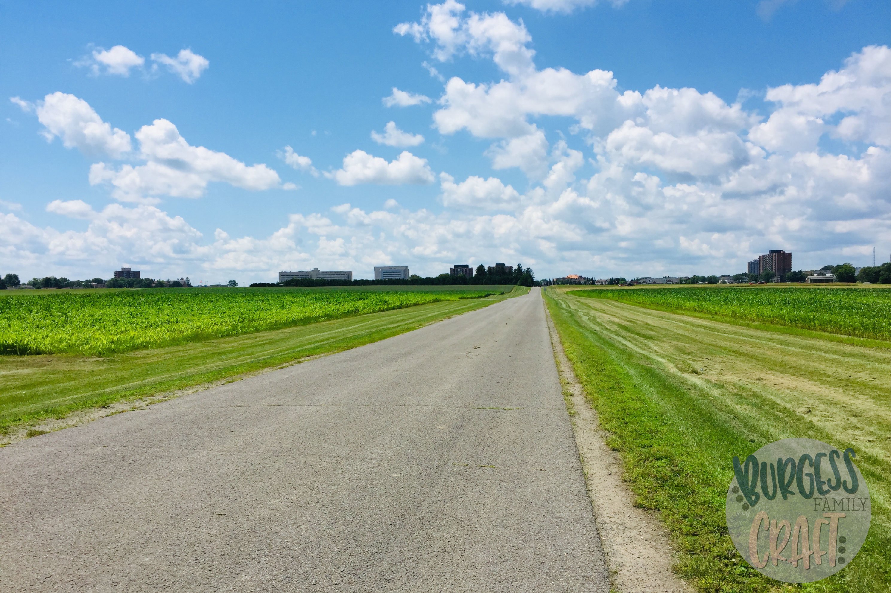 Farmers field stock photography | High resolution JPEG (179350 ...