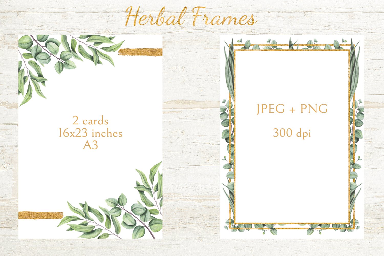 Herbal Frames (101813) | Illustrations | Design Bundles